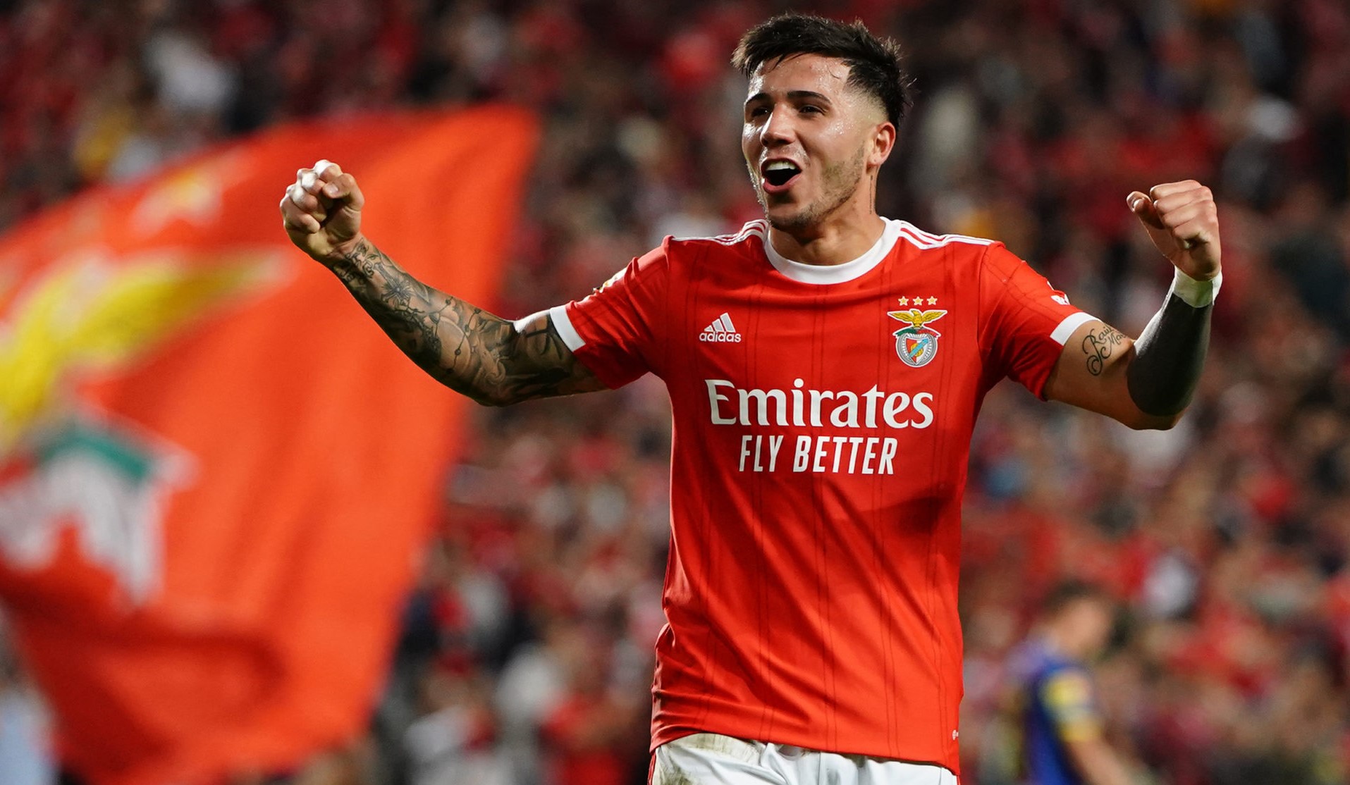 Real Madrid eye Benfica midfielder Enzo Fernandez | Madridistanews.com